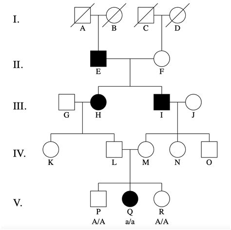solved identify the most likely inheritance pattern and then