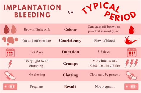 Implantation Bleeding Or Period Spotting