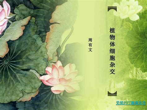 植物体细胞杂交 Word文档在线阅读与下载 无忧文档