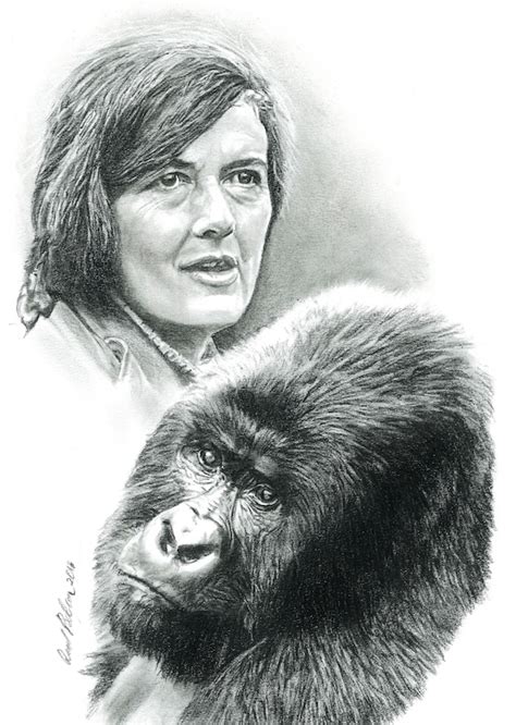 Dian Fossey Dian Fossey Organization Sends Gorillas To The Cloud