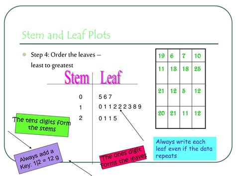 Ppt Stem And Leaf Plots Powerpoint Presentation Free Download Id