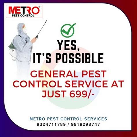 General Pest Management Services At ₹ 5square Feet In Mumbai Id