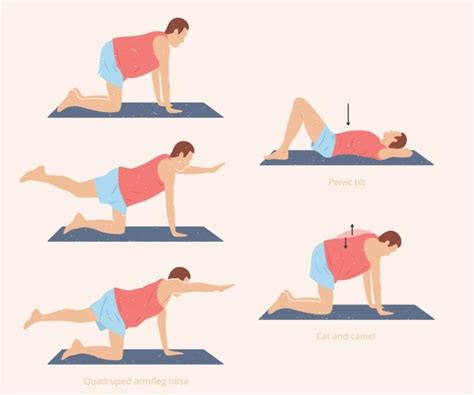 How Long To Wear Back Brace For Compression Fracture Fivali Blogs Guide