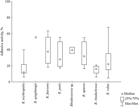 Adhesive Activities Of Rhodococcus Strains Towards The Reference Solid