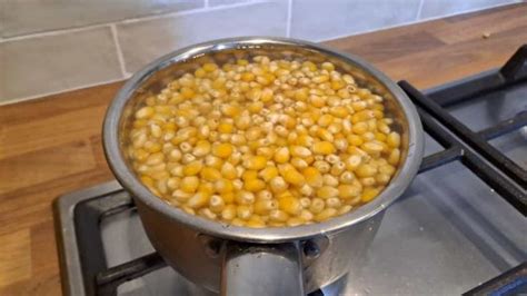 How To Make PopCorn Grain Spawn Popcorn Tek EZMushroom