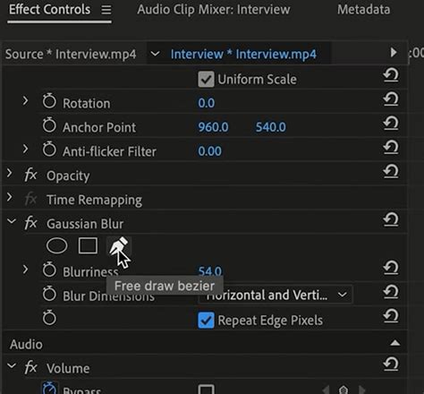 Blur Videos In Premiere Pro And Best AI Alternative
