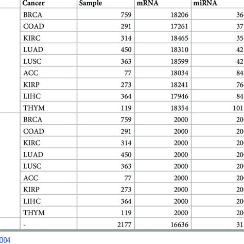 Data Scales Of Different Datasets Download Scientific Diagram