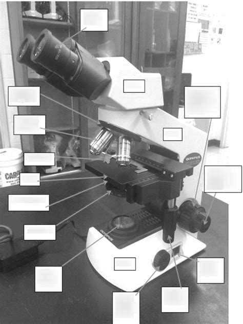 Lab Test 2 Diagram Quizlet