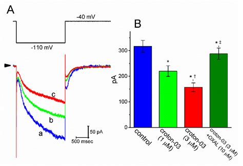 Characterization Of Inhibitory Effectiveness In Hyperpolarization Activated Cation Currents By A