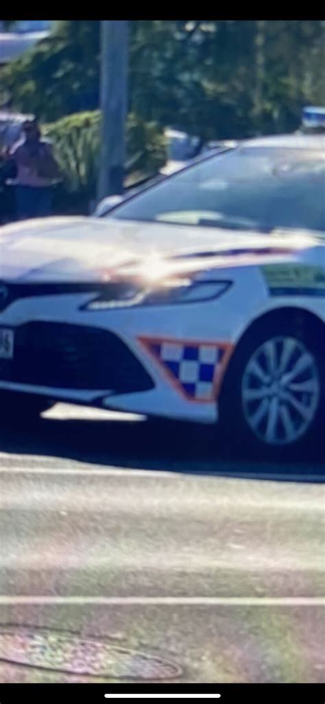 Where Is Tfe Law And The Order Anastasia The Premier Of Qld Wants To Murder Me On4 8 2023 I