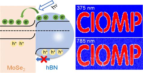 High Performance Broadband Mixed Dimensional Phototransistors Based On