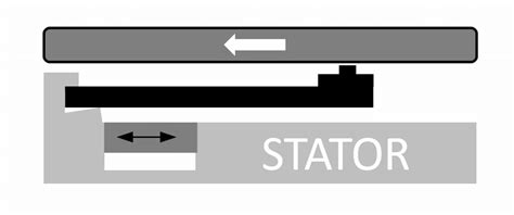 Schematic Representation Of The Stepping Process In Inchworm Download Scientific Diagram