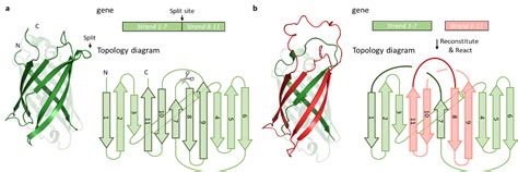 北京大学科学研究部