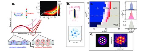 Roton Droplets And Supersolid Phase In Dipolar Gases A Roton