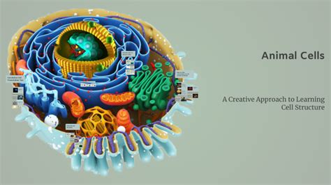 How To Make A 3d Model Of An Animal Cell Using Recyclables By Tamsyn