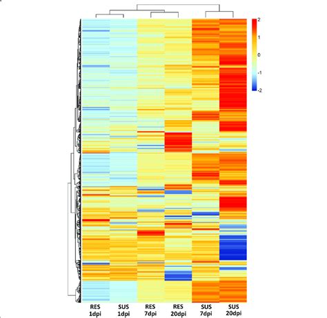 Heatmap Of Differentially Expressed Genes In Resistant And Susceptible Download Scientific