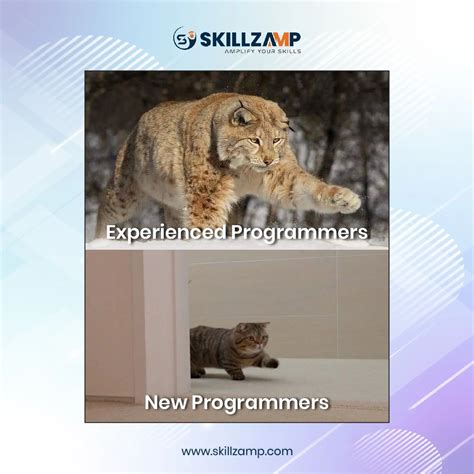 Skillzamp On Linkedin Programminglife Newprogrammer