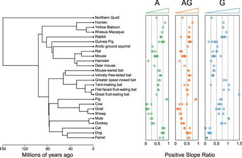 Evolutionarily Related Species Exhibit Similar Binding Profiles