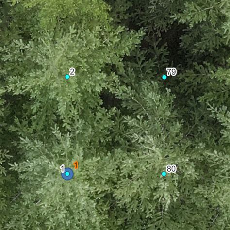 Chapter 8 Georeferencing Plot Trees Guidelines And Procedures For