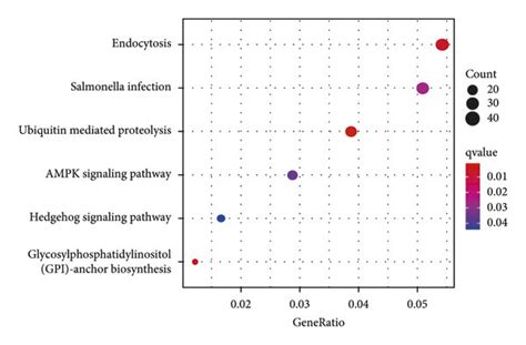 Transcriptome Characteristics Between Different M6a Modification