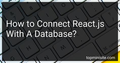 How To Connect Reactjs With A Database In 2024