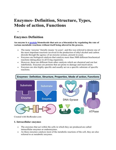 Enzymes Definition Structure Function And Types