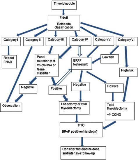 Influence Of The Molecular Marker Test On The Algorithm For Thyroid Download Scientific Diagram