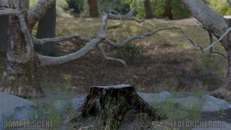 Tree Stump Photoscan 3d Model Varying Lod Free Vr Ar Low Poly 3d Model Cgtrader