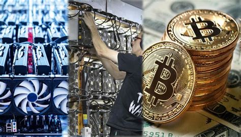 THE ULTIMATE GUIDE TO CHOOSING THE BEST BITCOIN MINING SOFTWARE Export35 Com E Path To The