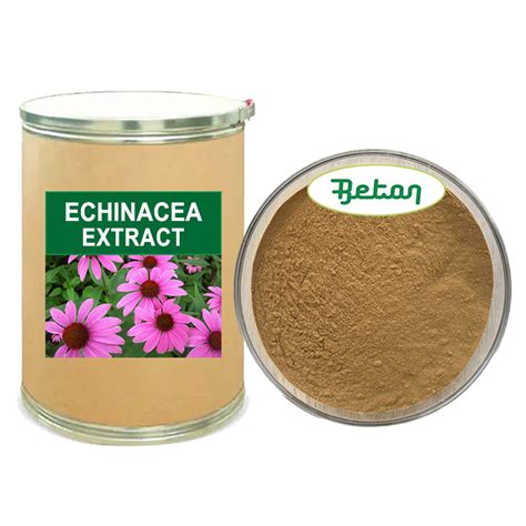 Echinacea Purpurea Root Extract Echinacea Purpurea Root Powder Beton