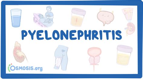 Pyelonephritis