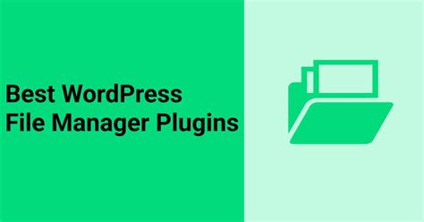 Top 5 Wordpress File Manager Plugins For 2024 Features Pros And Cons