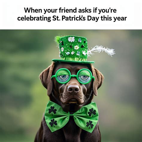 Labrador Day Memes Labrador Memes And S Imgflip
