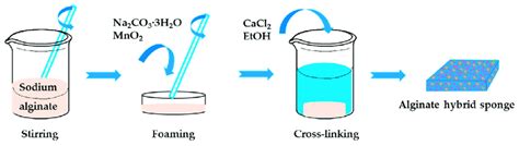 Scheme 1 Preparation Of The Alginate Hybrid Sponge Cas Via A Download Scientific Diagram