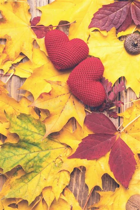 Love In Autumn Two Hearts On Leaves Background Autumn Mood Seasonal