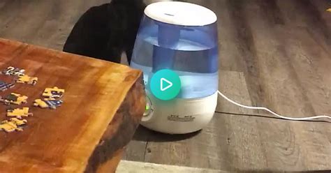 Can Not Compute Album On Imgur