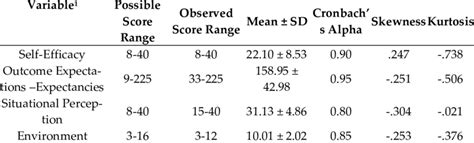 descriptive statistics for the social cognitive theory construct