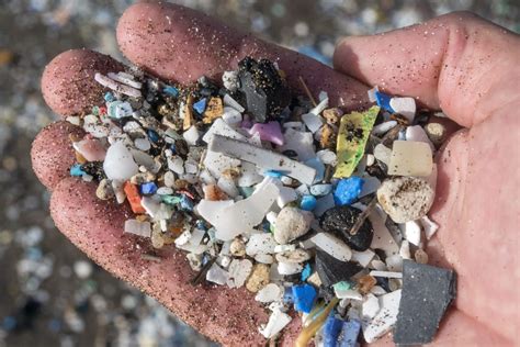 How Worried Should We Be About Microplastics Rnz