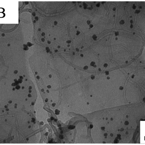 Sem A And Tem B Of Pd Cnt Go With Accompanying Particle Diameter Download Scientific