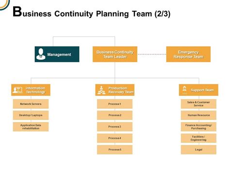 Business Continuity Planning Team Information Technology Support Team Ppt Powerpoint
