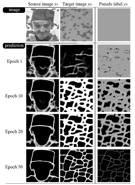 Prediction Results And Pseudo Labels After Different Training Epochs