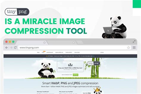 Tinypng Online Tinypng Image Compression Inmotion Hosting