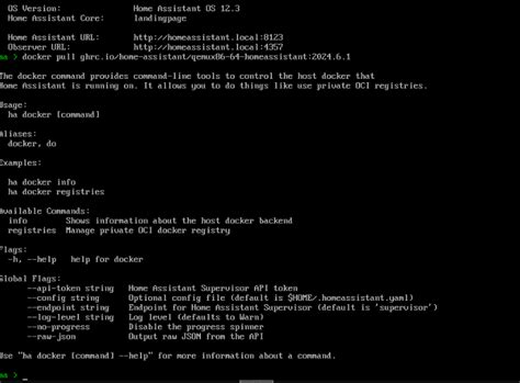 issue during installation installation home assistant community