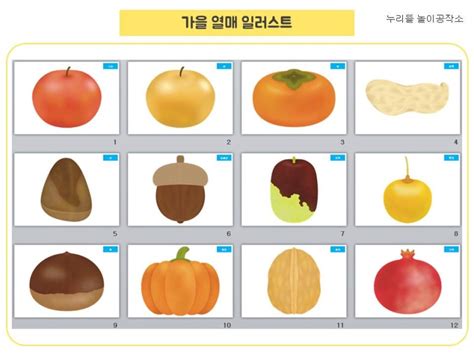 일러스트 가을 열매