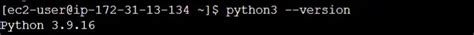 how to install python on amazon linux 2023 cloudkatha