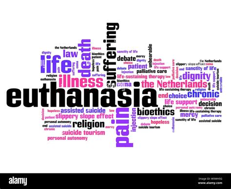 Euthanasia Issues And Concepts Word Cloud Illustration Word Collage
