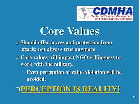 PPT NGOs And Disaster Response Who Are These Guys And What Do They Want Anyway PowerPoint