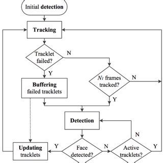 Our Detection Tracking Flow Diagram Download Scientific Diagram