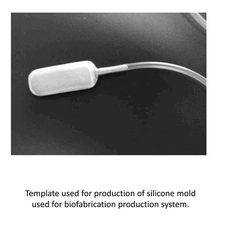 Semipermeable Medical Pouches And Their Uses Eureka Patsnap