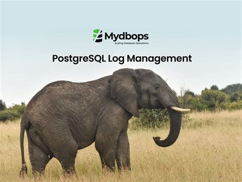 Mydbops On Linkedin Postgresql Databasemanagement Logmanagement Mydbops Posgres Pgsql